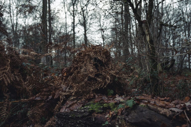 Survivability - Level Peaks